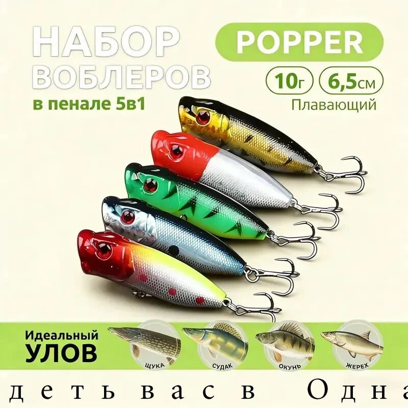 Набор воблеров для рыбалки Поппер, 6,5см 10г, 5шт в пенале. Popper плавающий с шумовой камерой для спиннинга, твичинга, кастинга и троллинга. Воблер на щуку окуня судака и голавля.