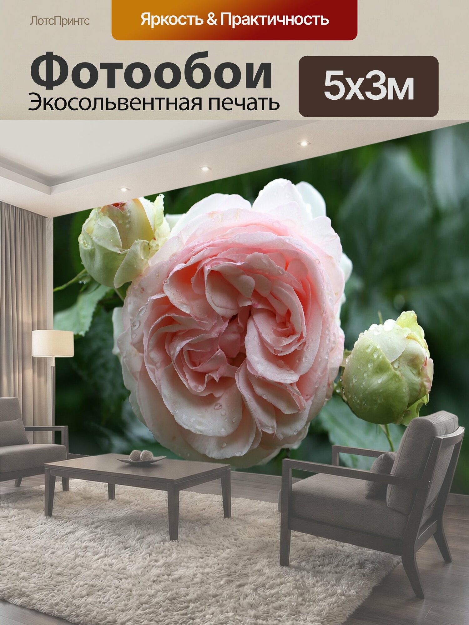Фотообои "Роза, розы цветы, цветок" 500x300 см. экосольвентная печать