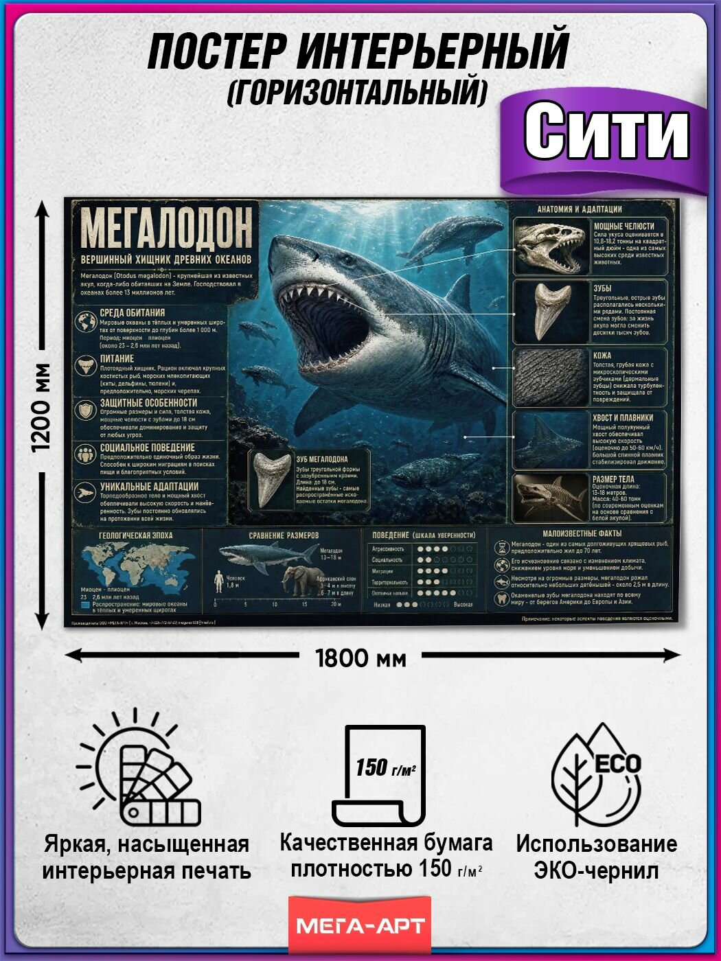 Интерьерный плакат "Мегалодон" / Доисторические животные постер для детей / сити (120х180 см.)