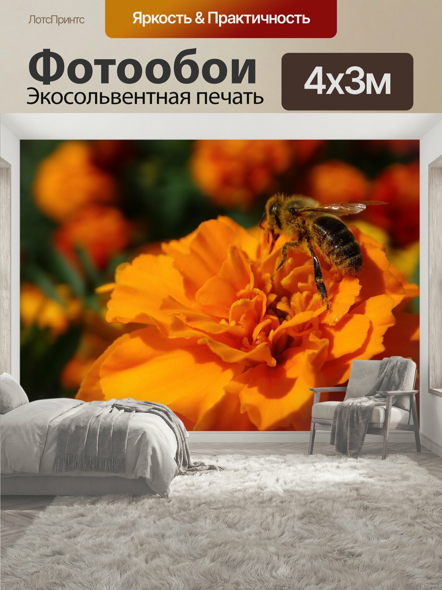 Фотообои "Бархатцы, цветок, цвести" 400x300 см. экосольвентная печать