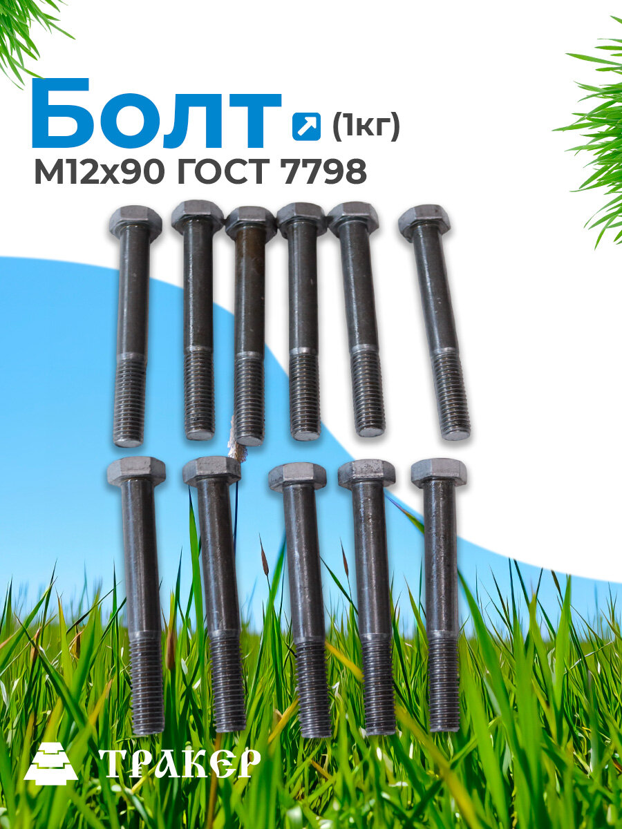 Болт М12х90 ГОСТ 7798 (1кг)