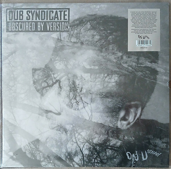 Dub Syndicate. Obscured By Version (LP/Виниловая пластинка)