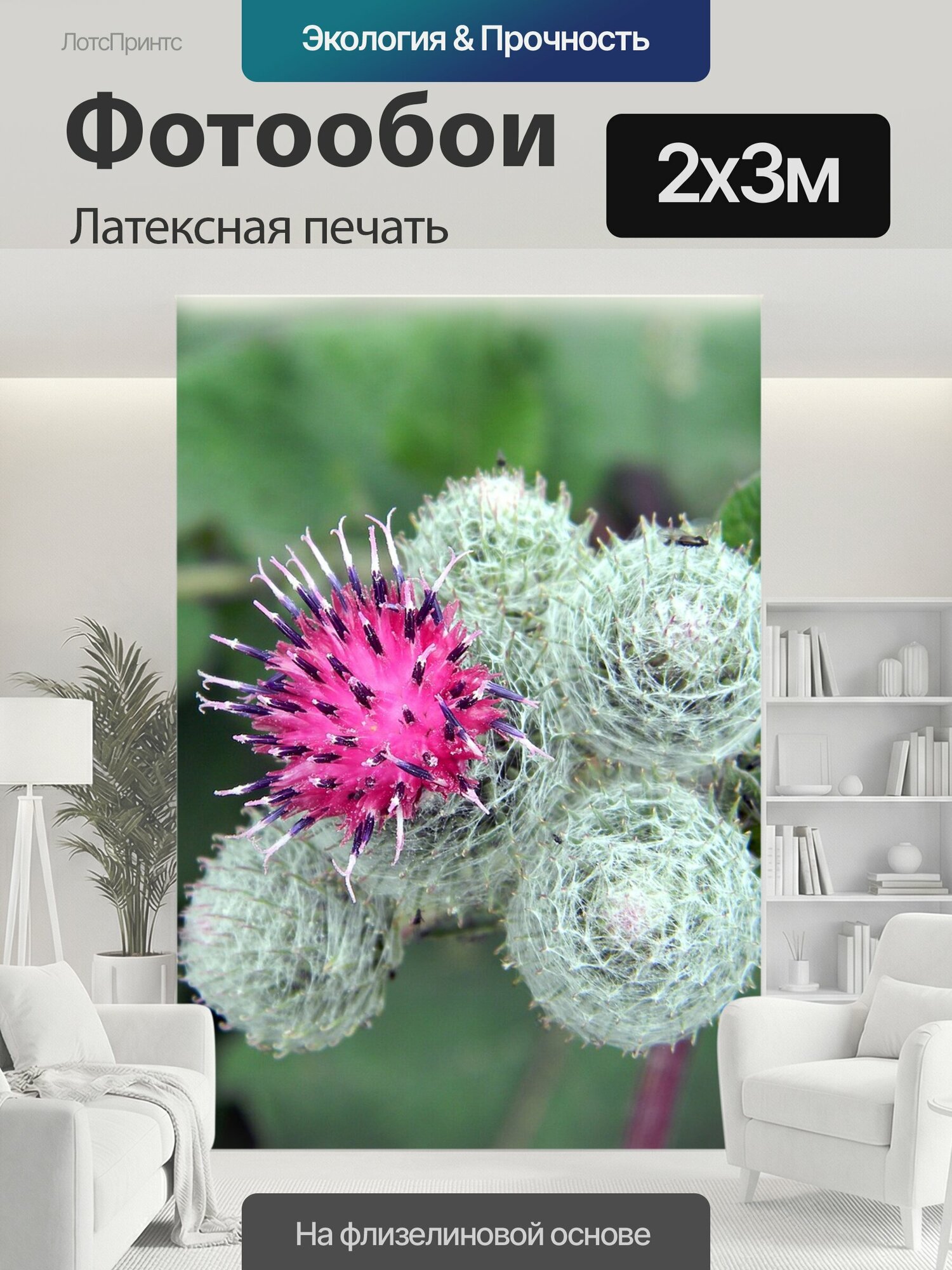 Фотообои моющиеся ударопрочные "Лопух, репейник, цветение" 200x300 см. латексная печать