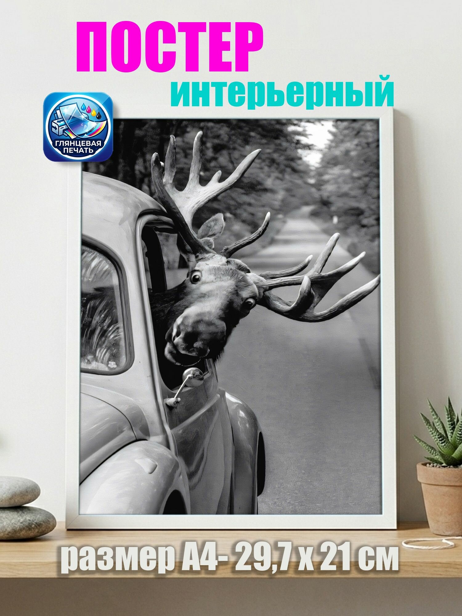 Постер Лось выглядывает из окна машины ретро ч/б, плакат на стену 21х30 см (А4)