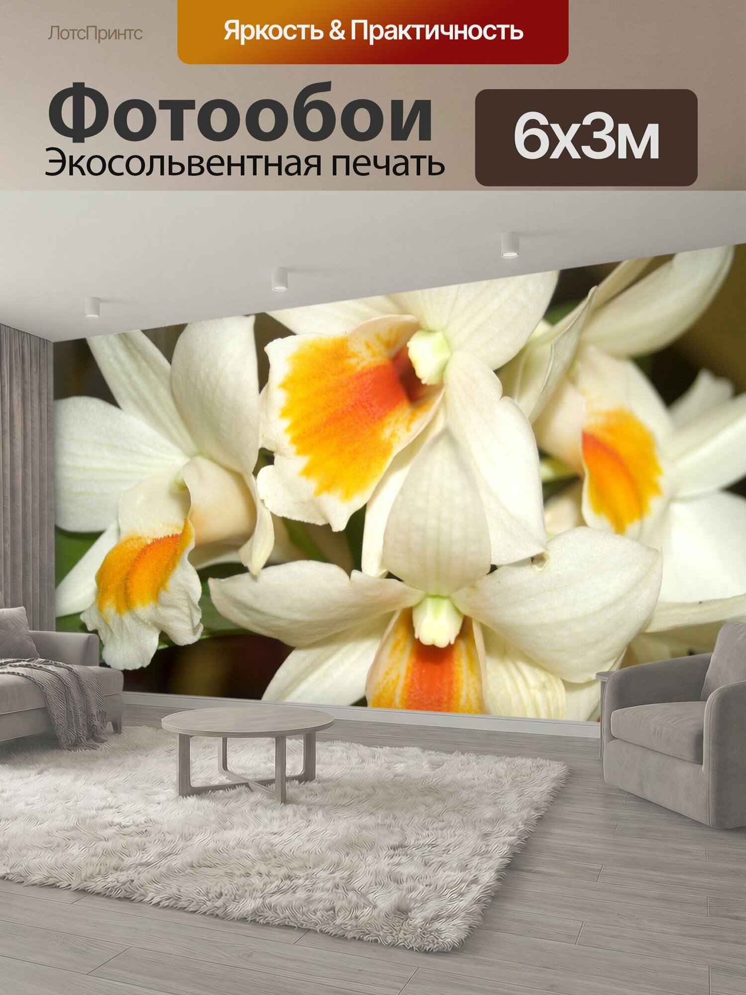 Фотообои "Орхидея, цветок, яркий" 600x300 см. экосольвентная печать