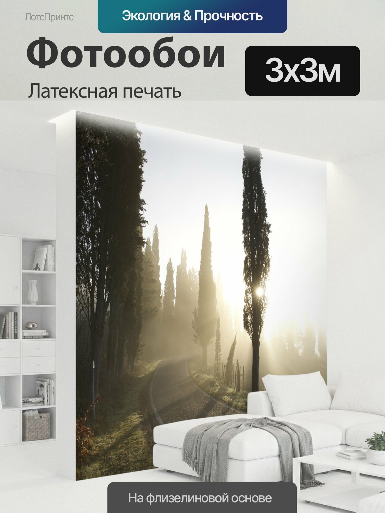 Фотообои моющиеся ударопрочные "Кипарис, улица, туман" 300x300 см. латексная печать