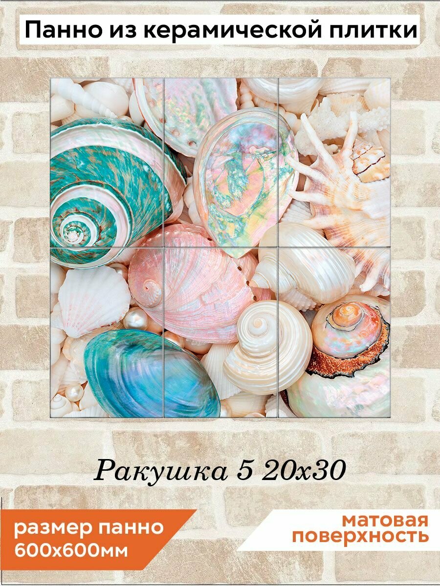 Панно fres-co из керамической плитки Ракушка 5 20х30