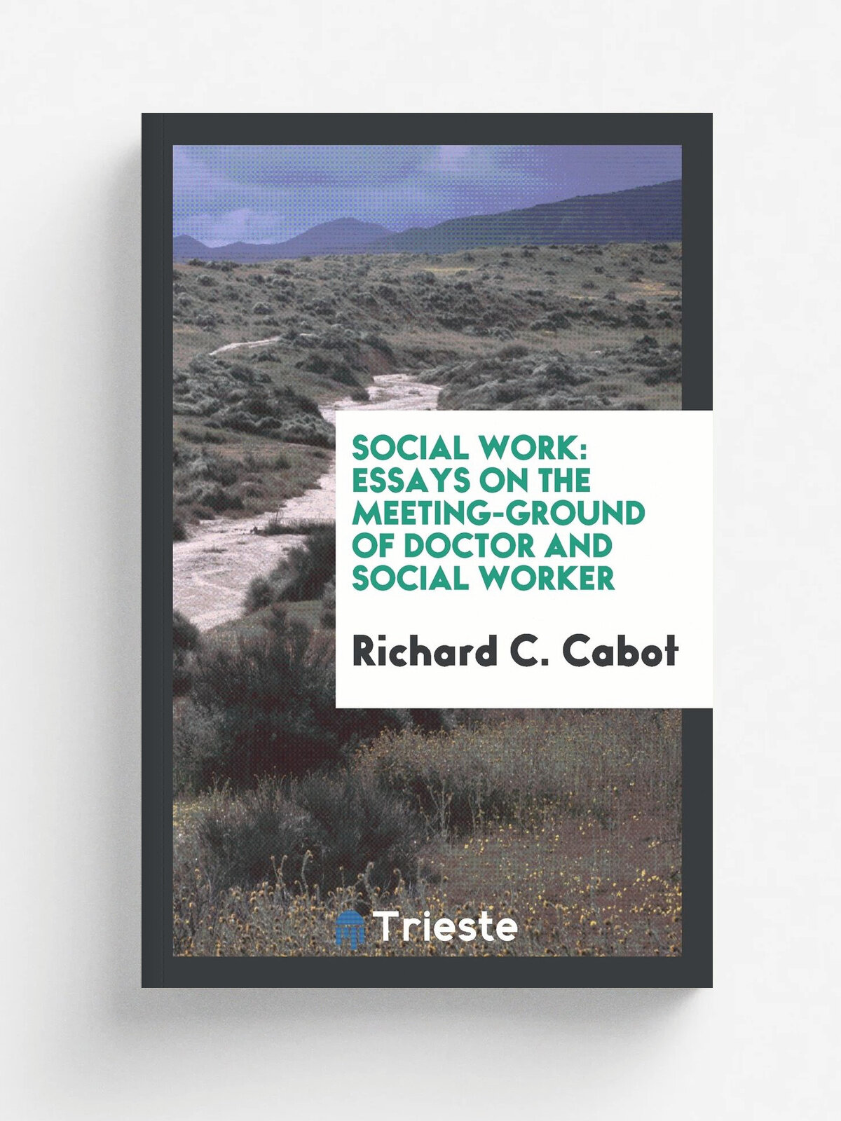 Social work c. 2