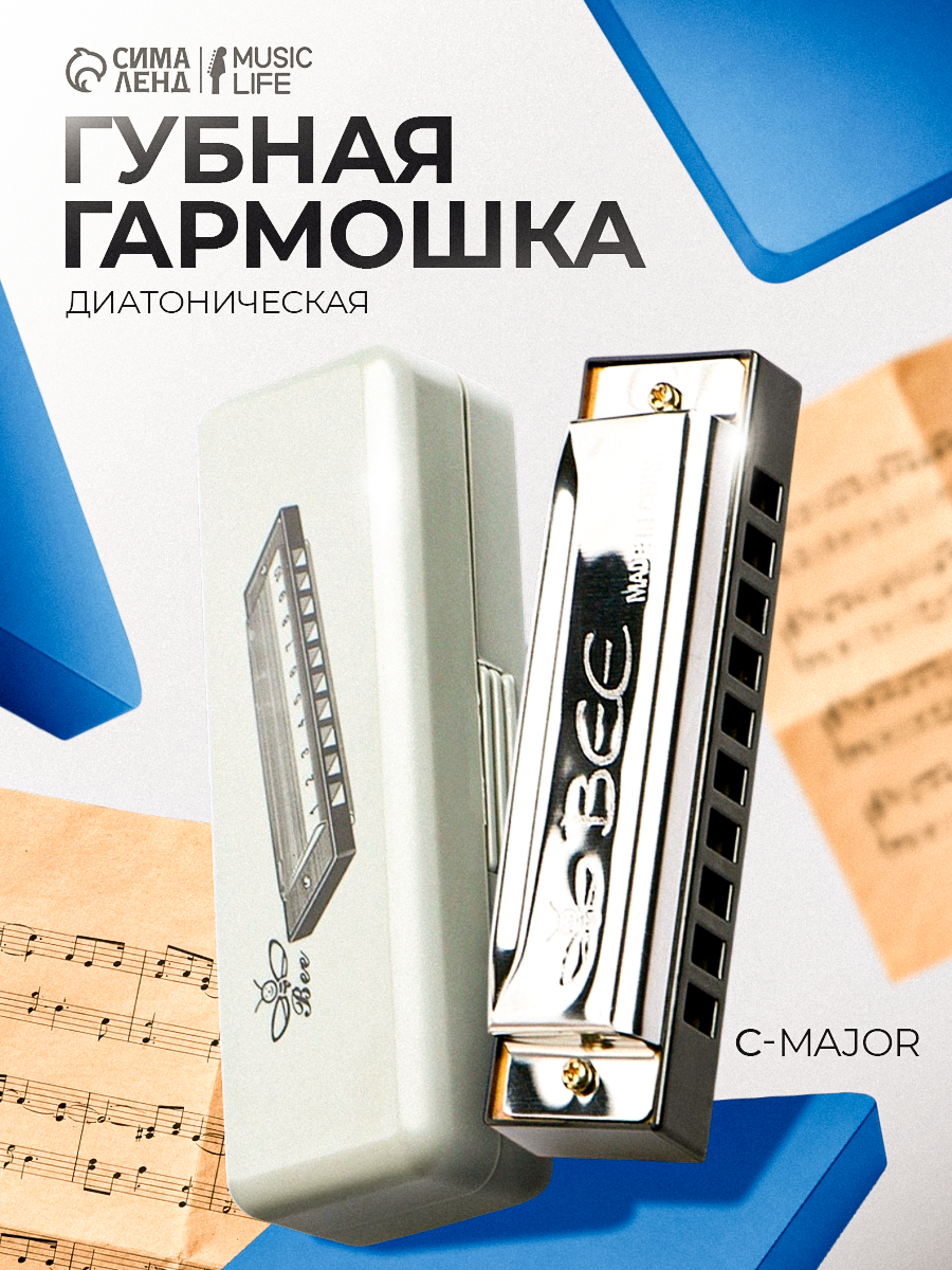 Губная гармошка, диатоническая, 10 отверстий, c-major, с футляром, серебристая