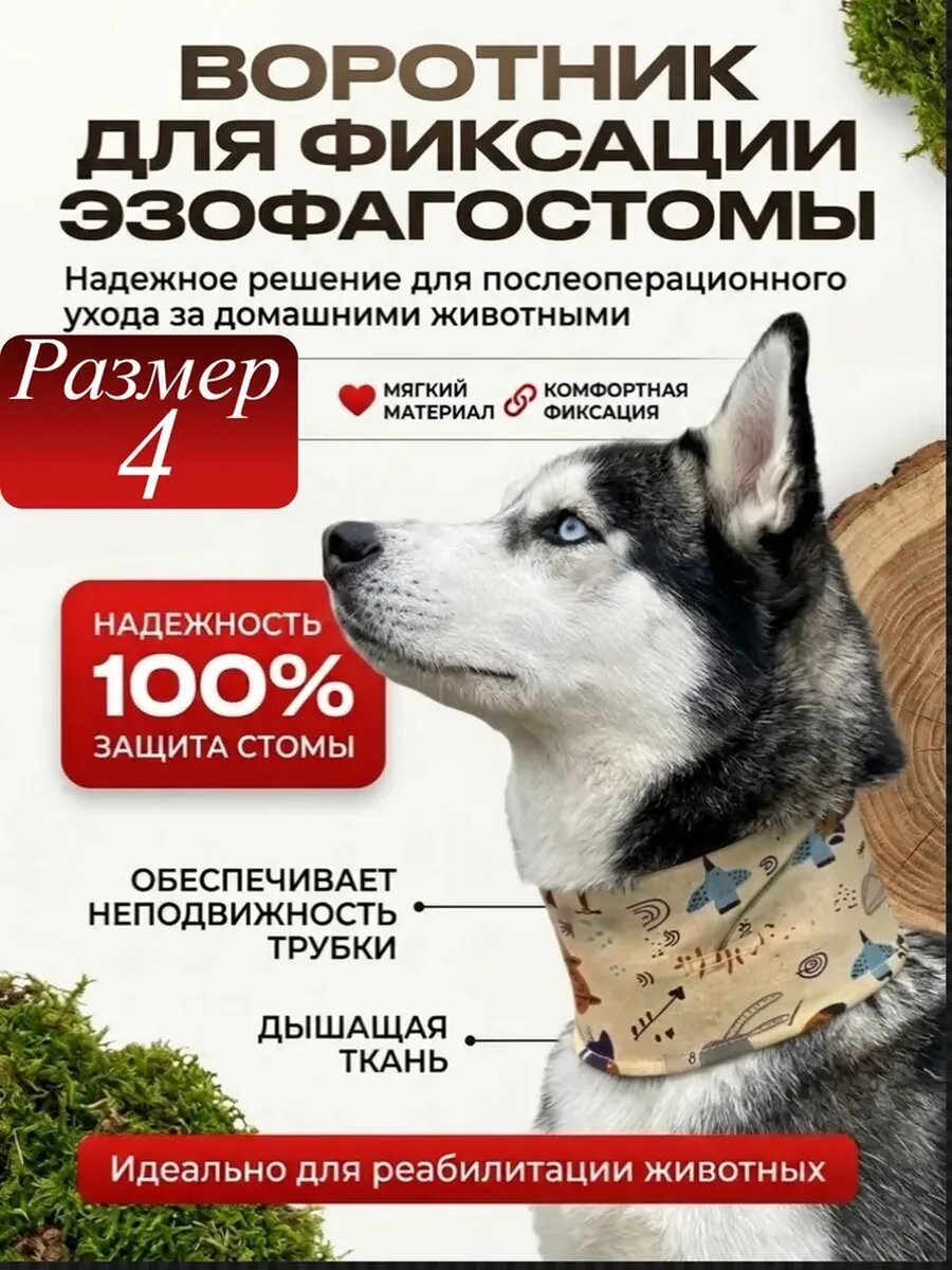 Воротник бандаж для животных с эзофагостомой размер 4