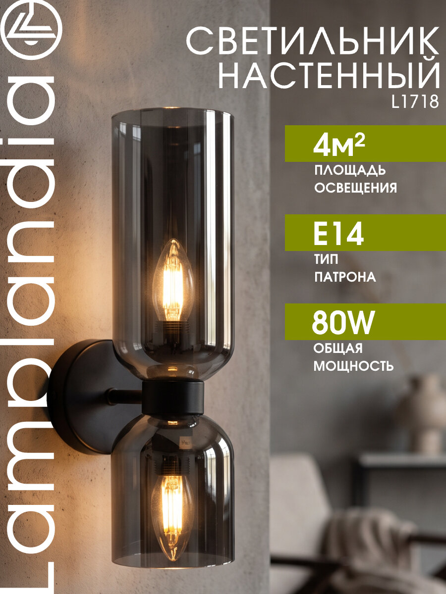 Светильник настенный Lamplandia L1718 RAMOS BLACK + SMOKY GREY, E14*2 макс 40Вт