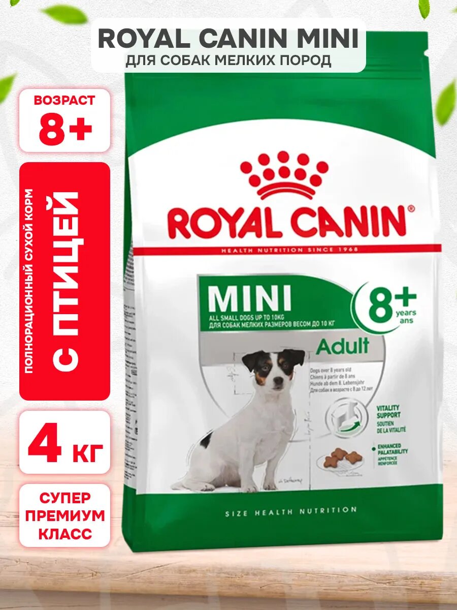 Корм сухой Royal Canin Mini Adult 8+ для пожилых собак маленьких пород старше 8 лет, 4 кг