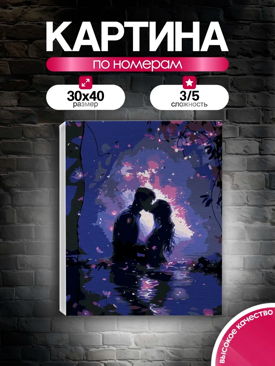 Картина по номерам 30x40 Влюбленные