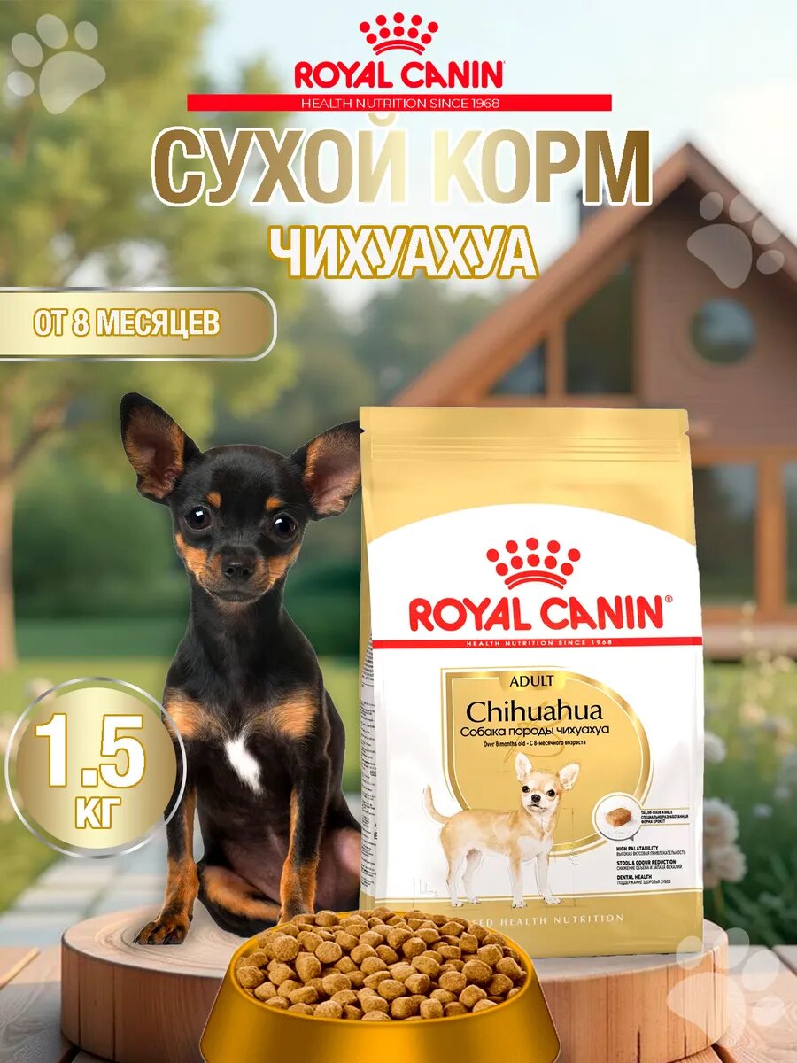 Сухой корм для собак Royal Canin Chihuahua породы чихуахуа, 1,5 кг.