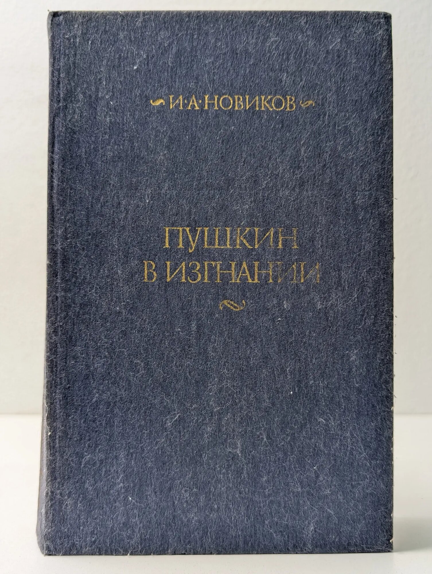 Пушкин в изгнании Новиков Иван Алексеевич 1985