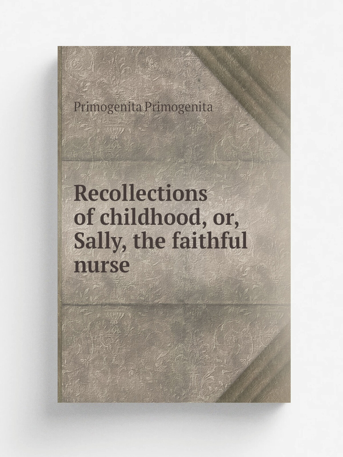 Recollections of childhood, or, Sally, the faithful nurse