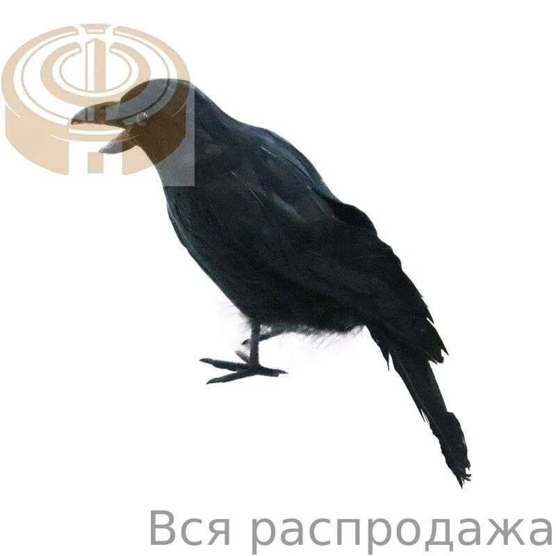 Вороны маятники