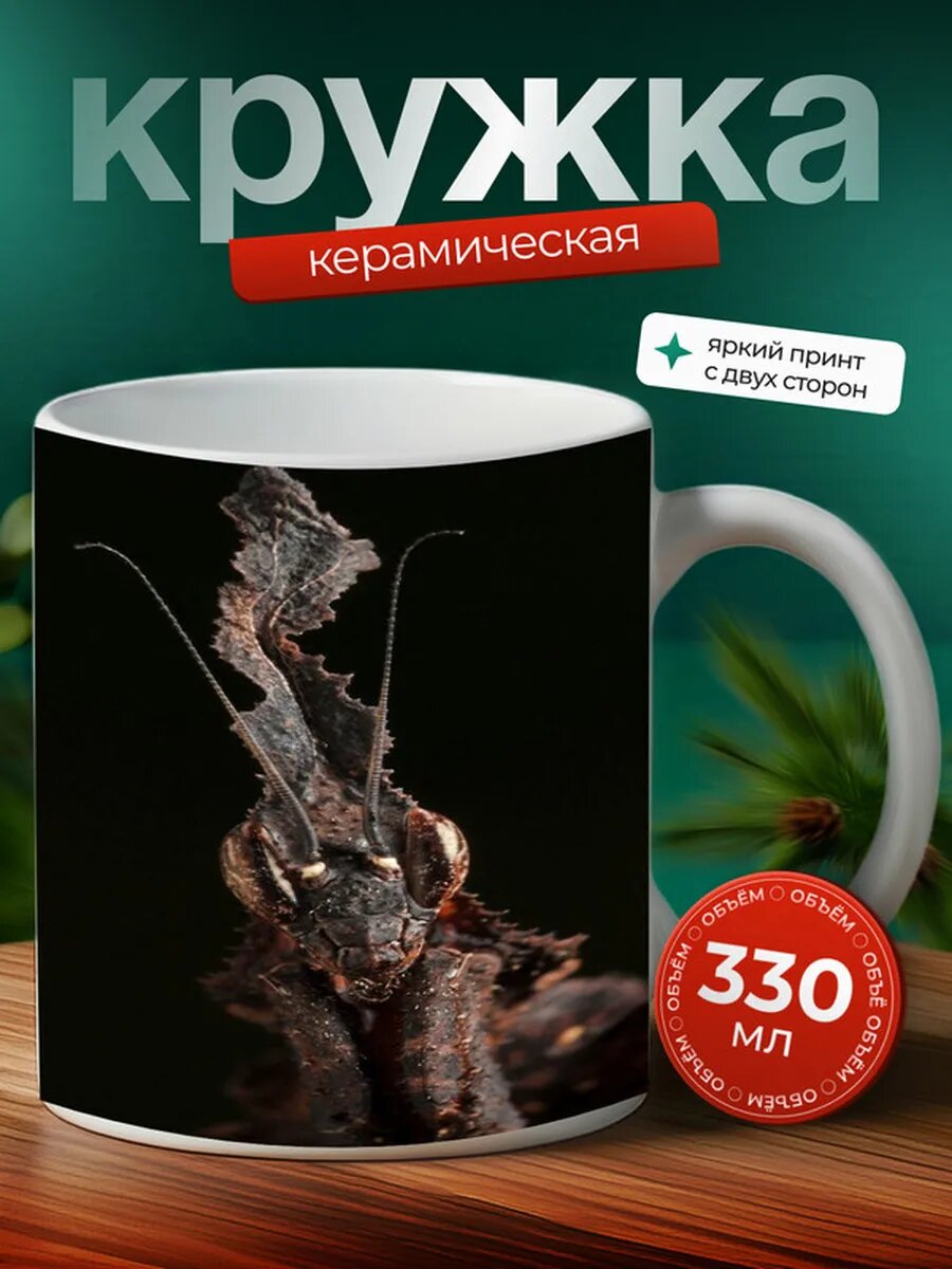 Кружка Богомол насекомое 4,