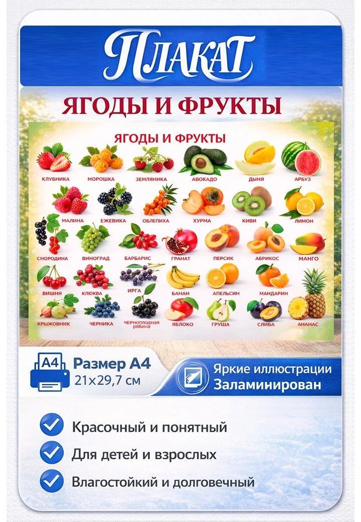 Обучающий плакат, ягоды и фрукты. Формат А4