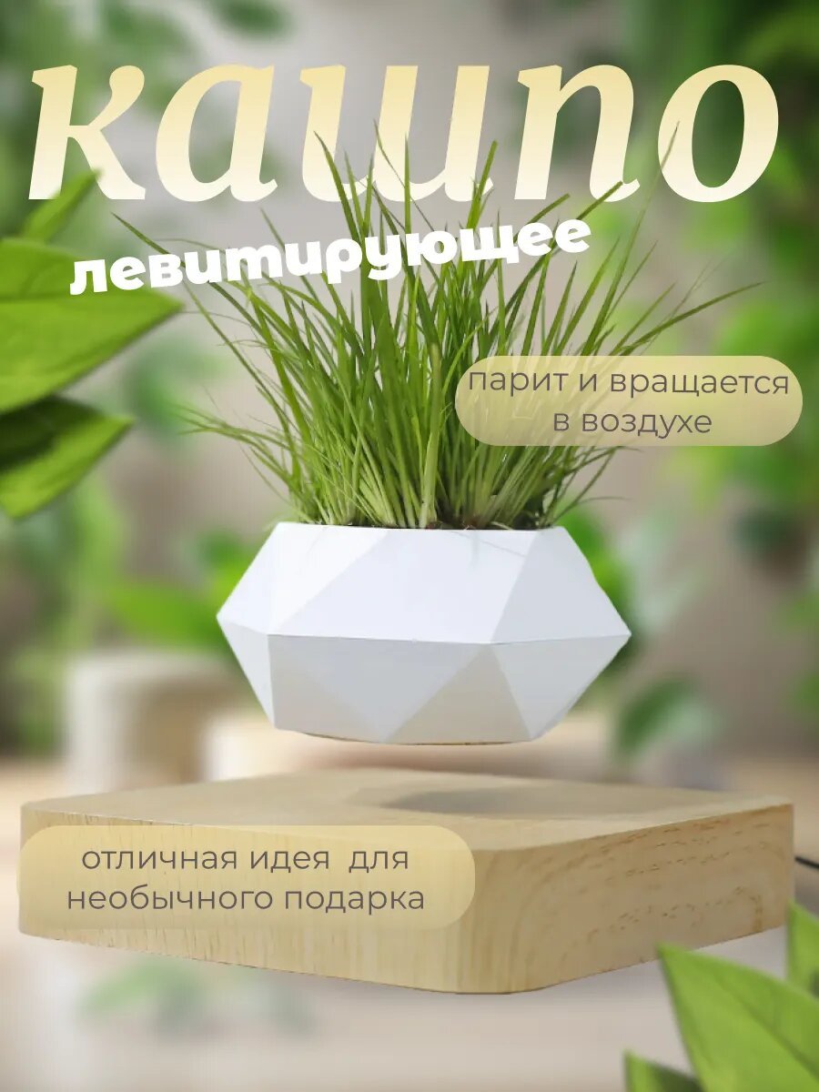 Левитирующий горшок для растений
