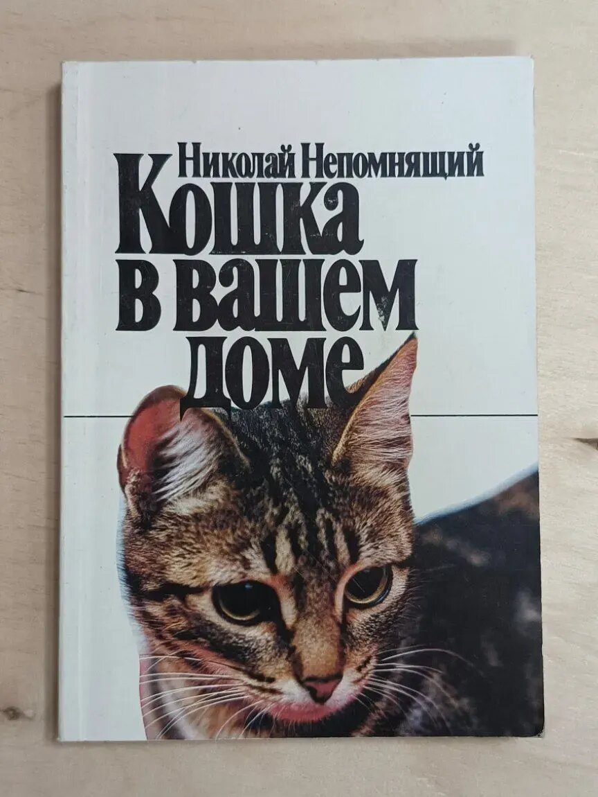 Кошка в вашем доме