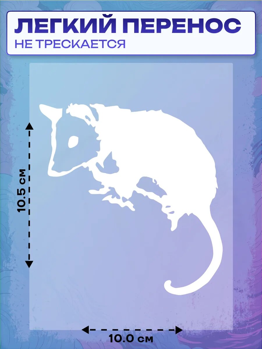 Термонаклейка rat — фото 1