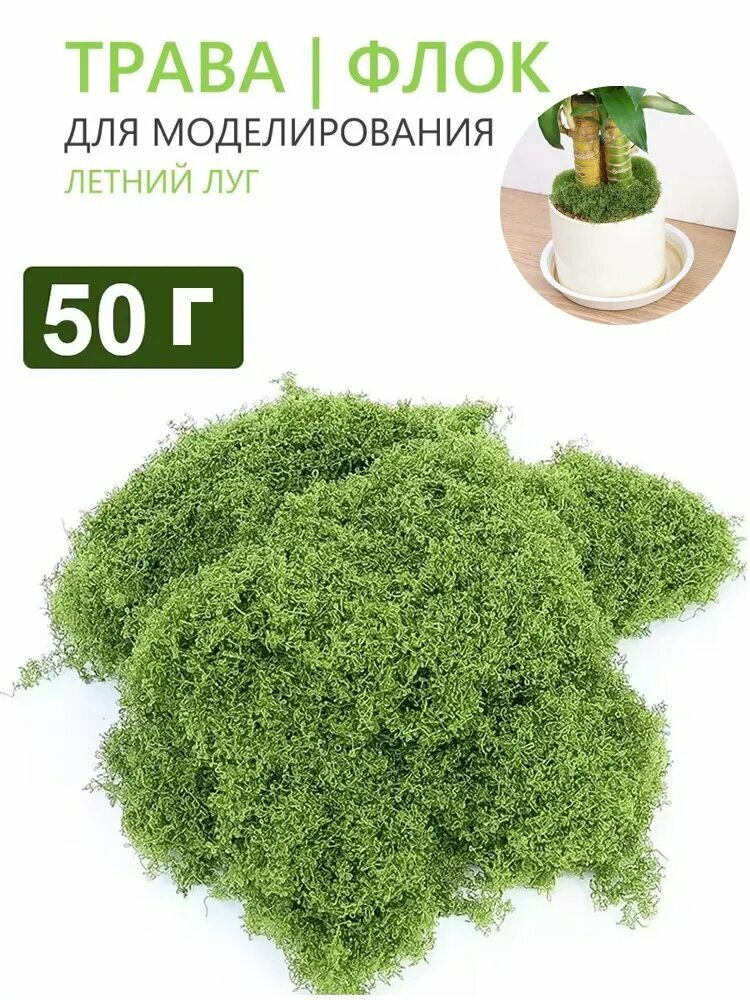 Стабилизированный мох Мох