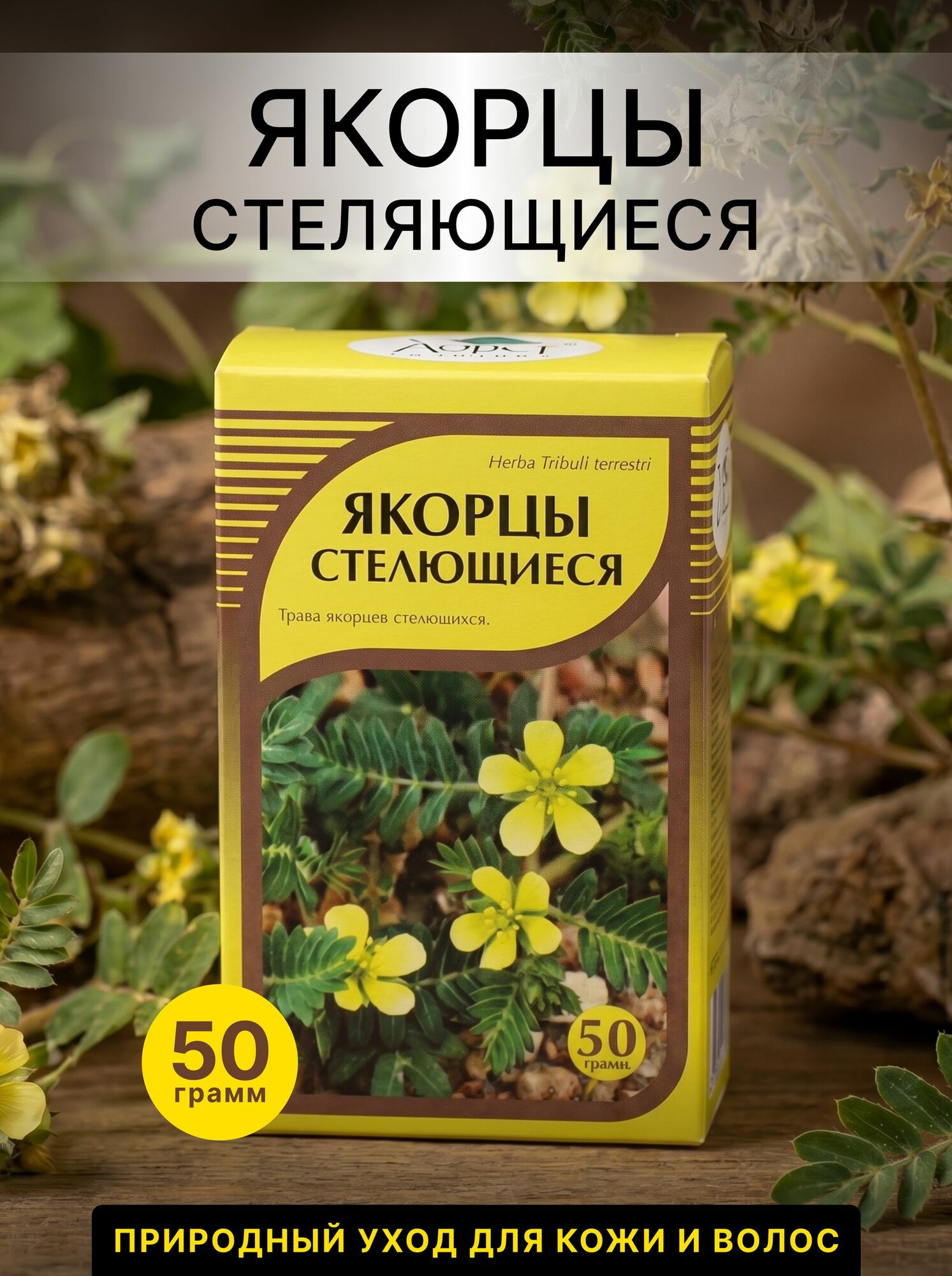 Якорцы стелющиеся (трава) косметическое средство "Хорст" 50г