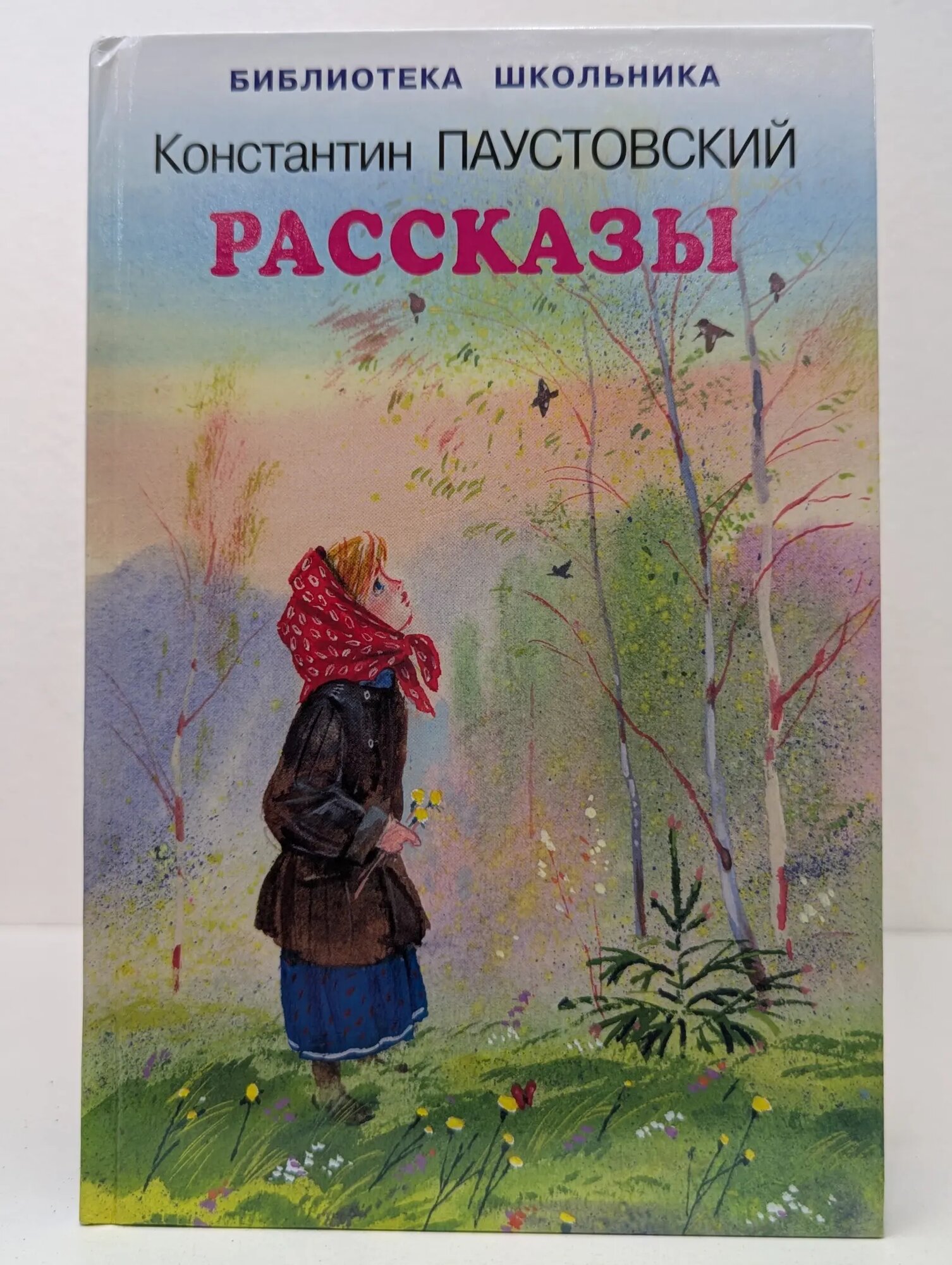 Библиотека школьника. К. Паустовский. Рассказы Паустовский Константин Георгиевич 2008
