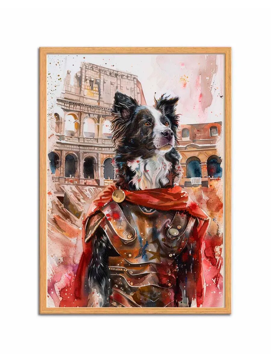 Бордер-колли Гладиатор 1, Плакат 30x42см