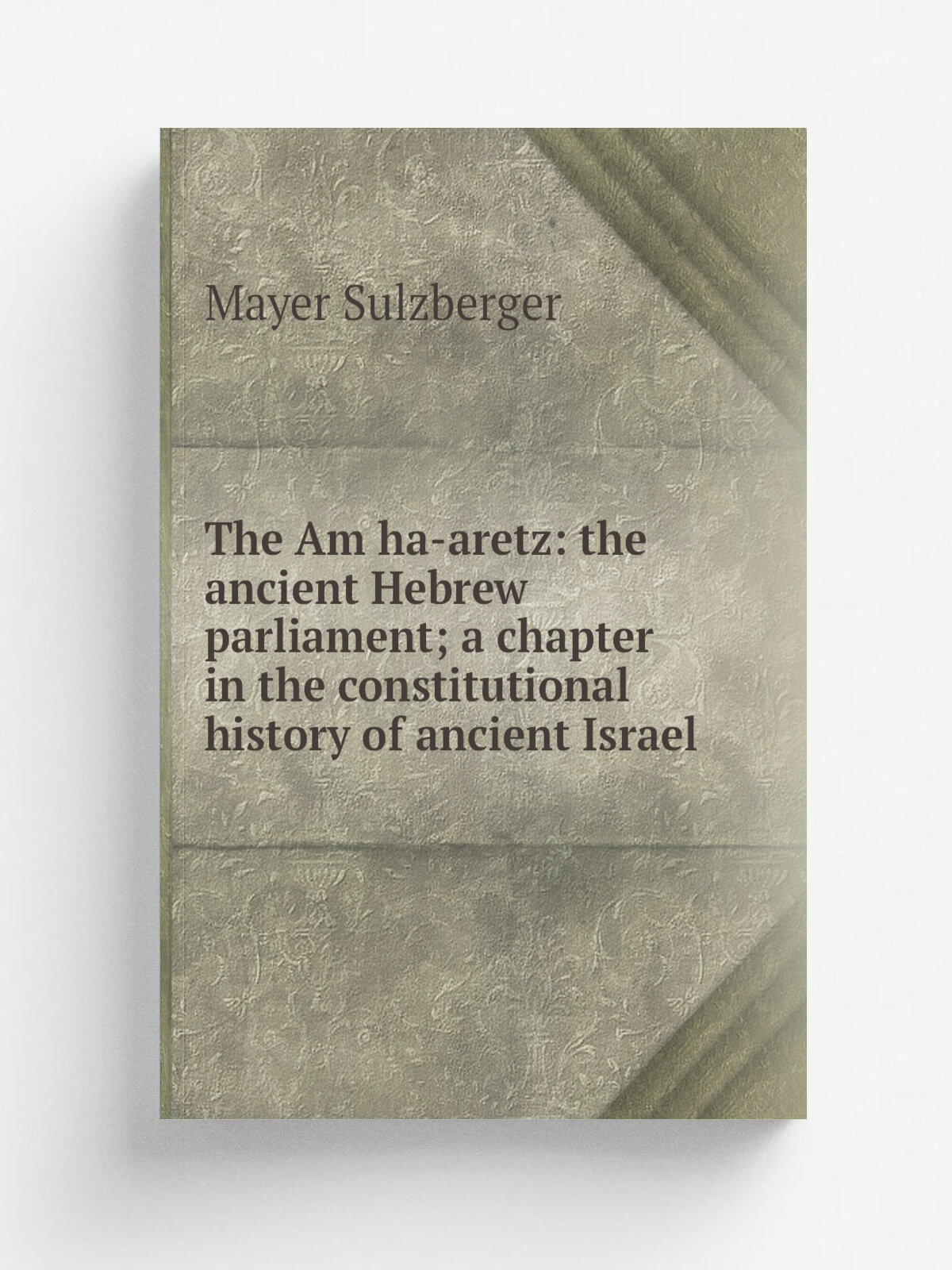 The Am ha-aretz: the ancient Hebrew parliament; a chapter in the constitutional history of ancient Israel