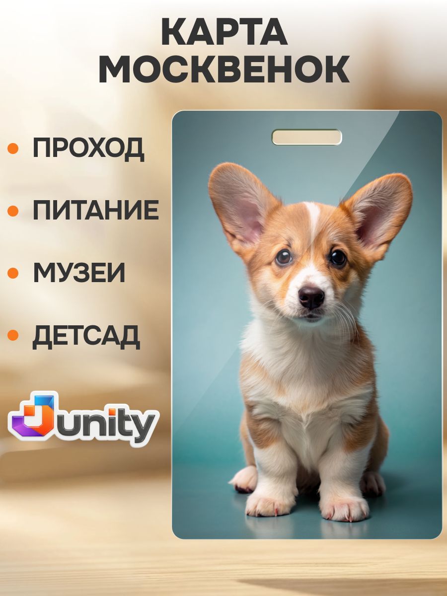 Карта Москвёнок DOGS №6