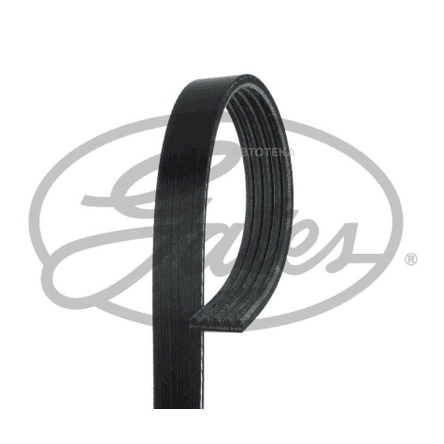 Ремень ручейковый GATES 5PK1720