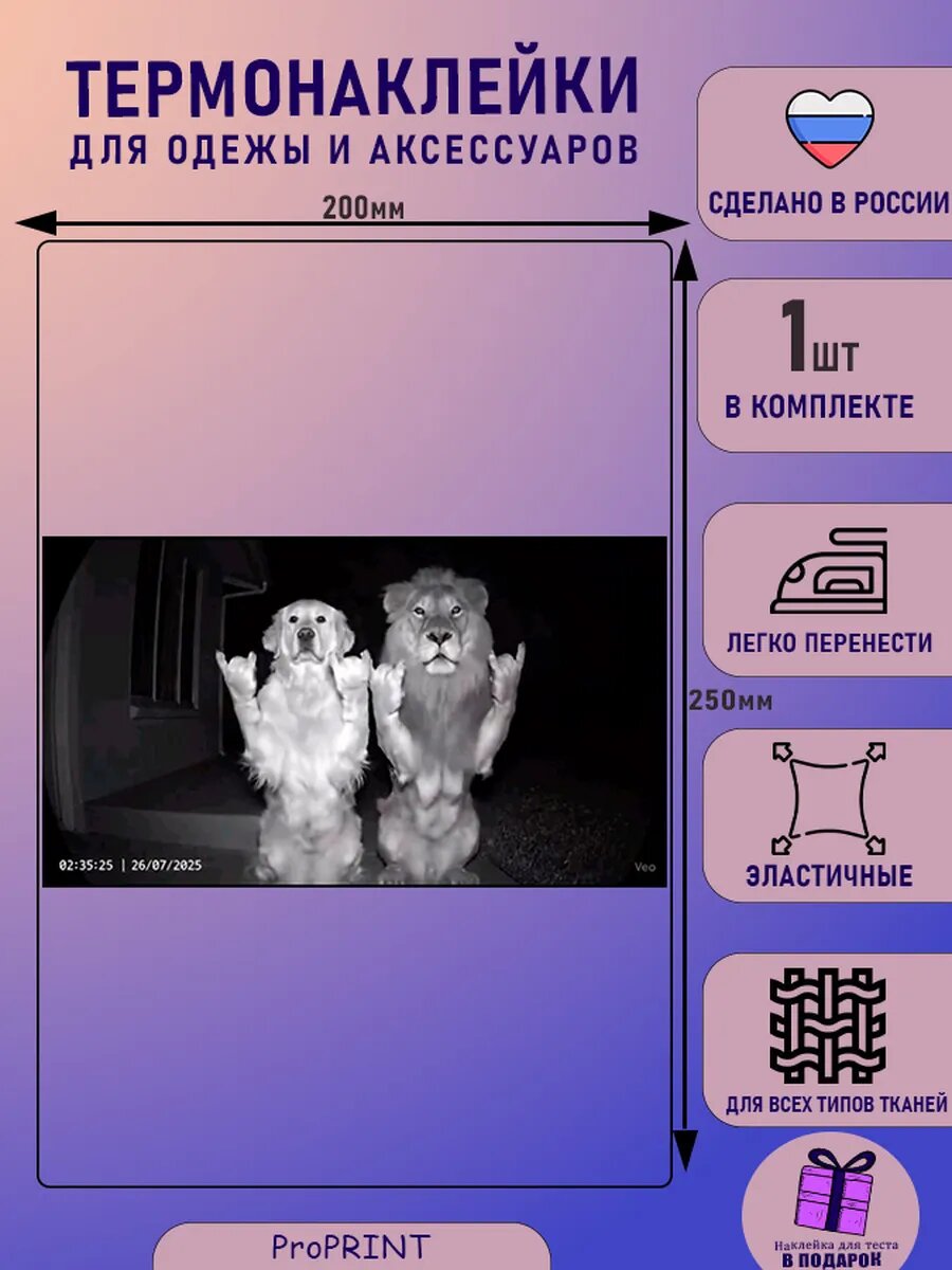 Термонаклейка на одежду взрослая
