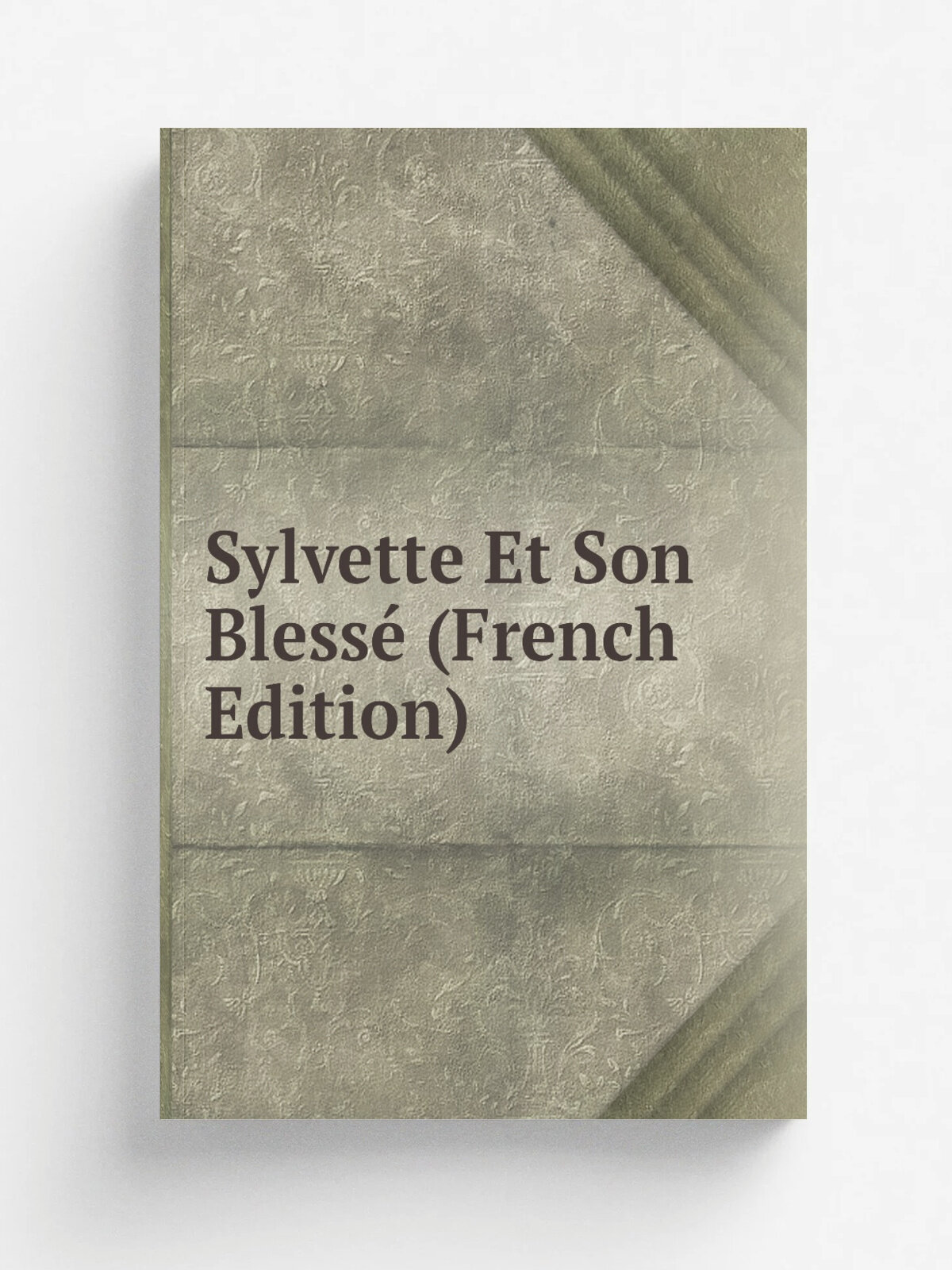 Sylvette Et Son Bless. (French Edition) | Репринт