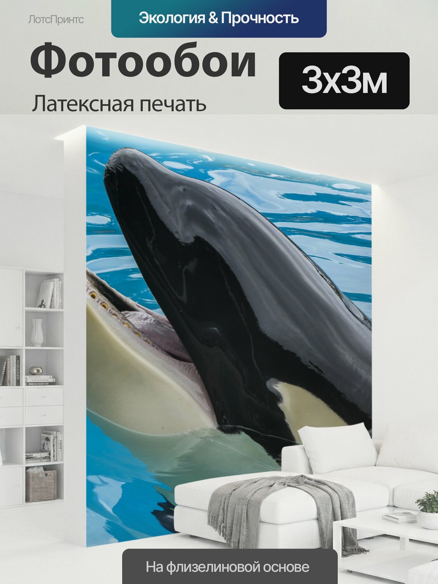 Фотообои моющиеся ударопрочные "Касатка Профиль черно-белого кита ORCA в Sea World, Сан-Диего, Калифорния кит киты черный белый кит орка сан." 300x300 см. латексная печать