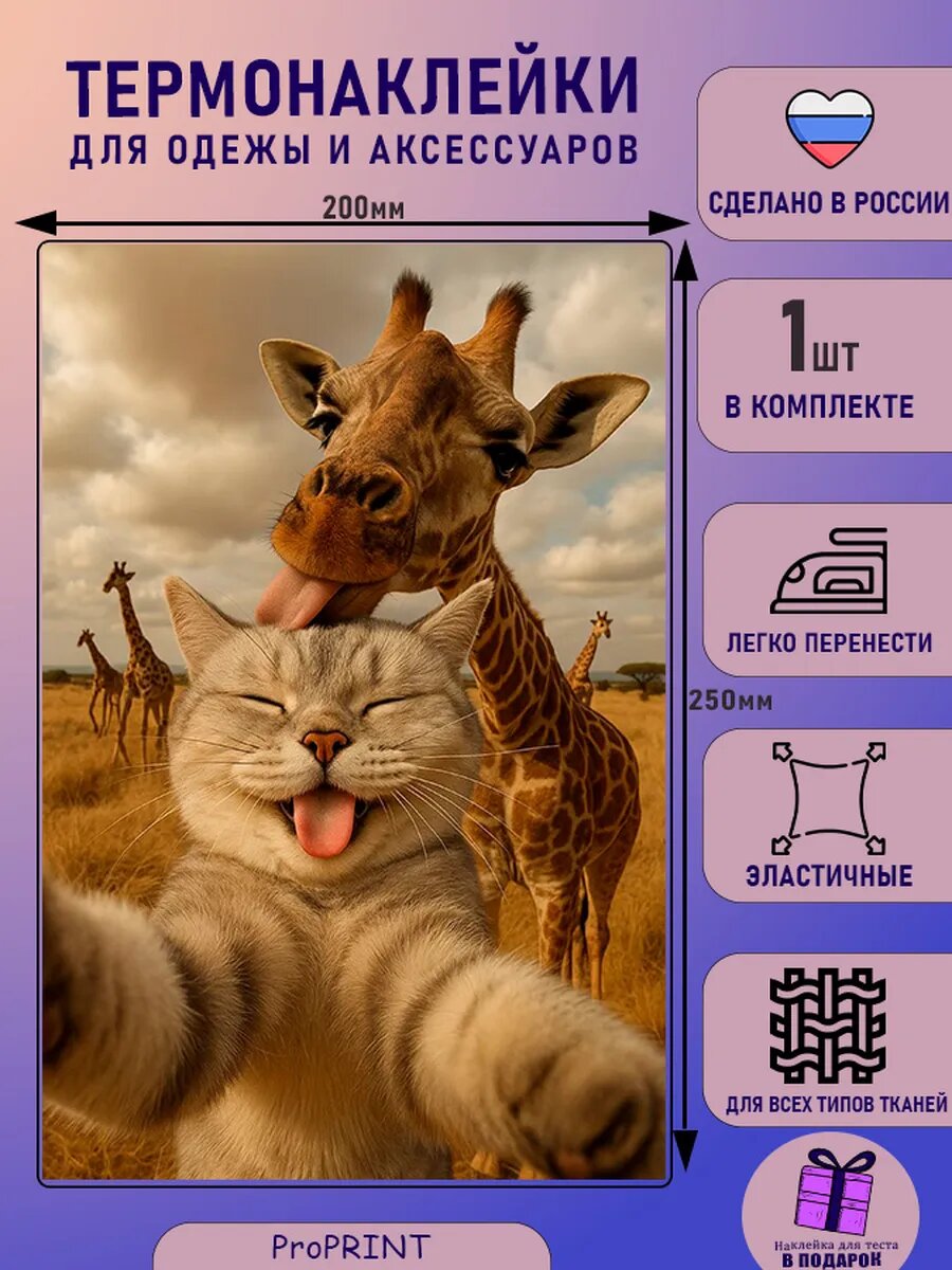 Термонаклейка на одежду
