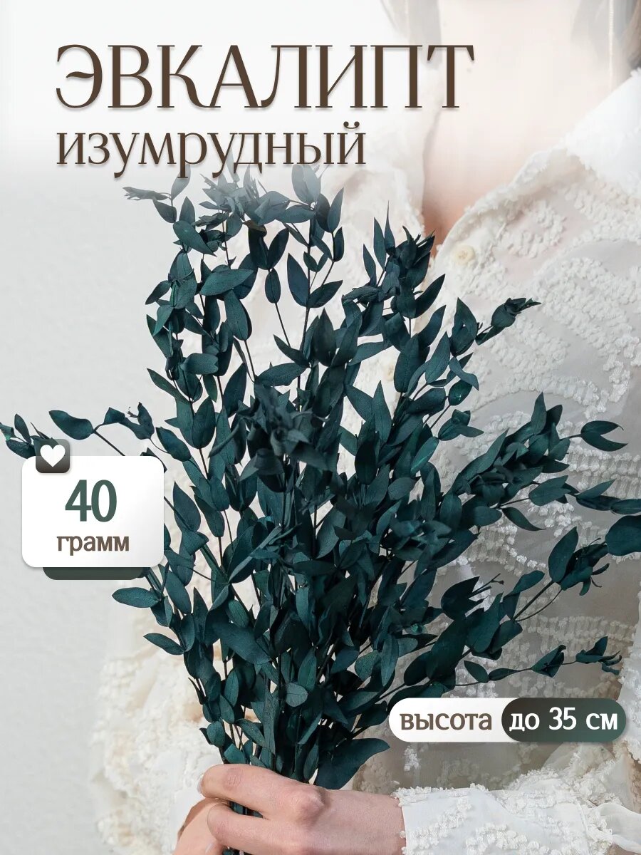 Эвкалипт парвифолия изумрудный 40 г, сухоцветы для декора