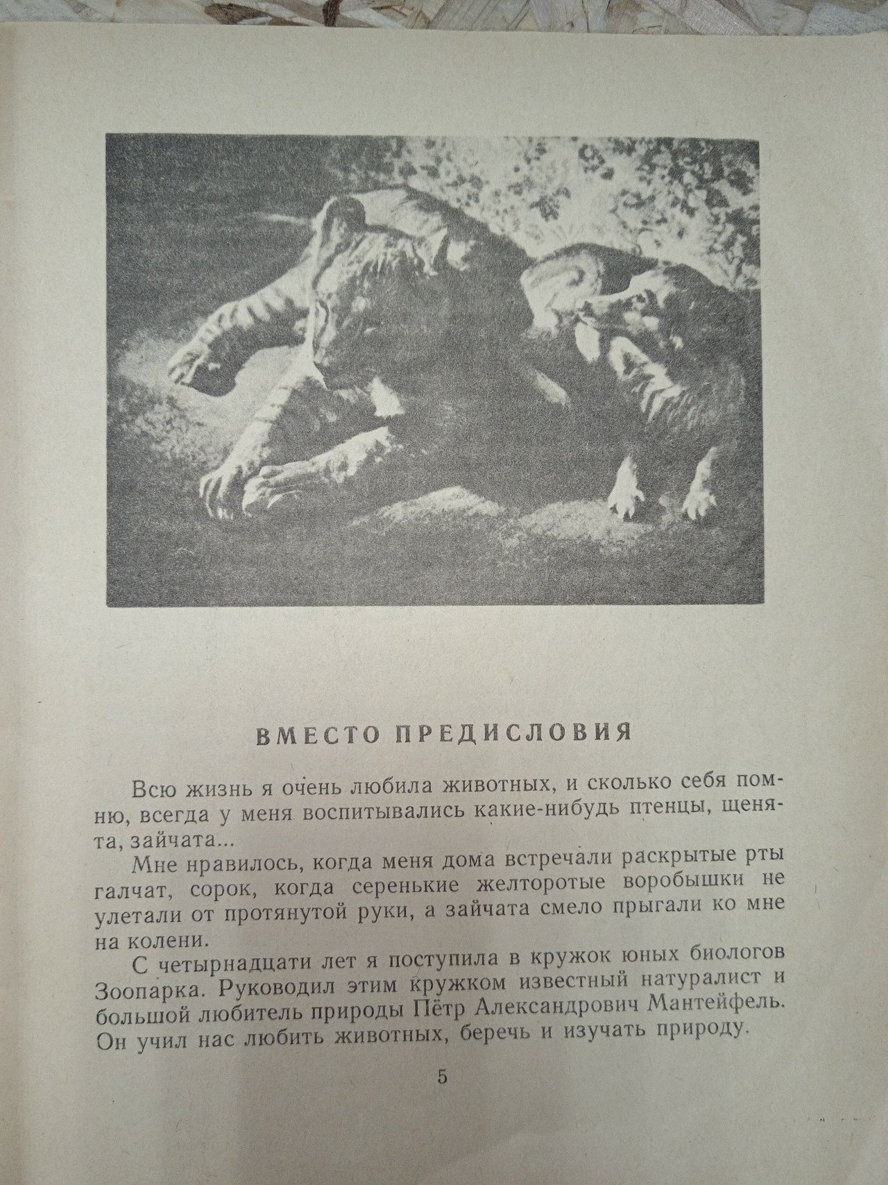 В. Чаплина "Кинули" — фото 1