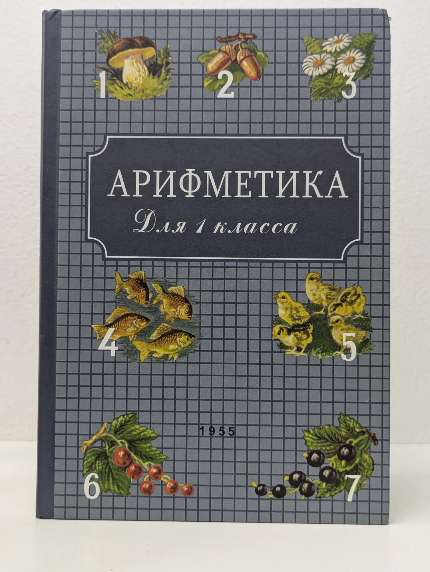 Арифметика. Учебник для первого класса начальной школы Пчелко Александр Спиридонович, Поляк Григорий Борисович 2021