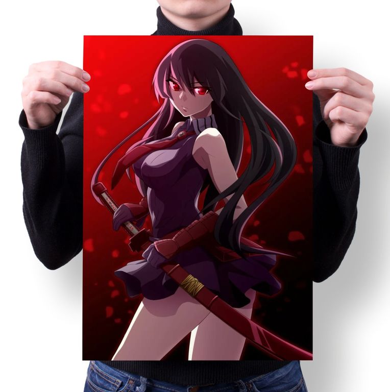 Плакат Убийца Акамэ, Akame ga Kill №13, А1