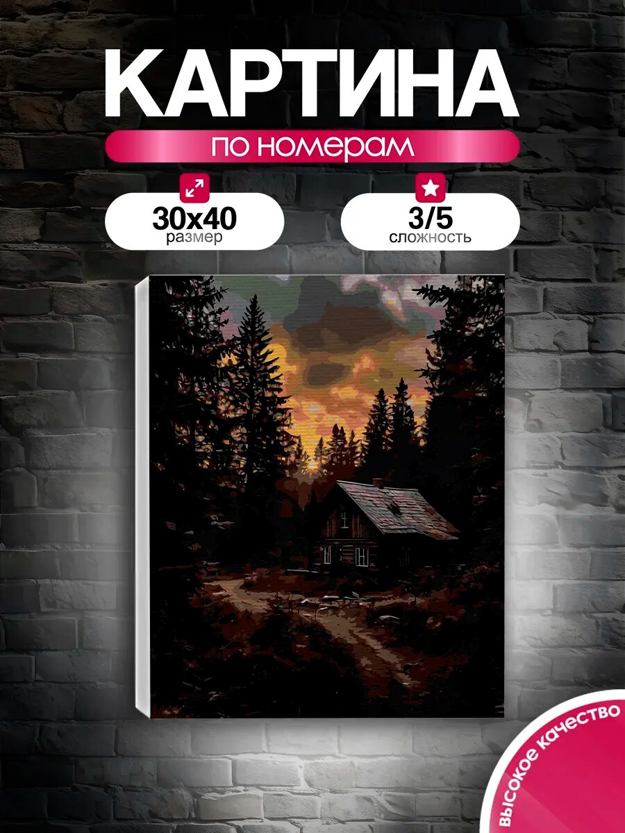 Картина по номерам 30x40 Дом в лесу