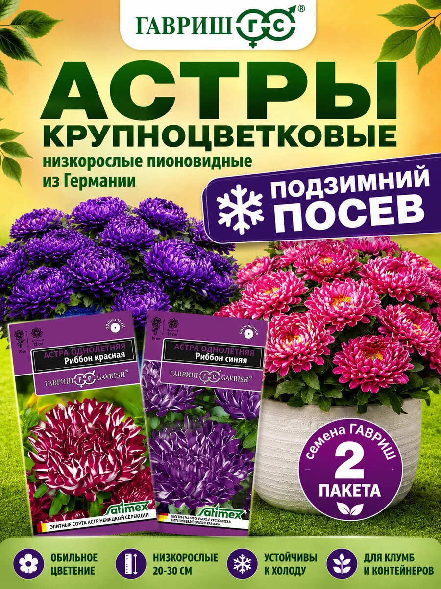 Семена астры пионовидной низкорослой Риббон 2 пакета