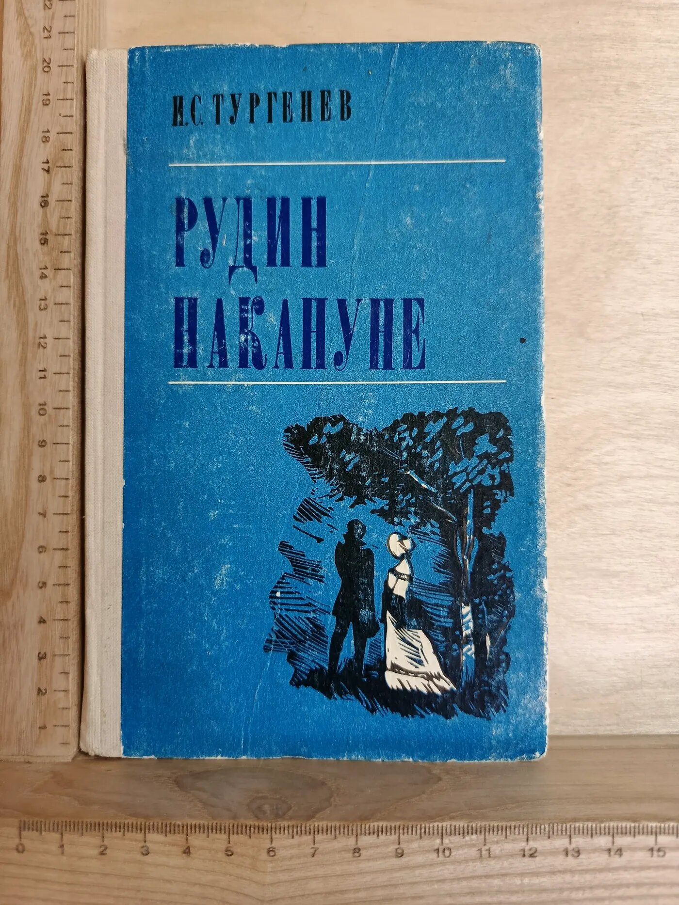 Рудин. Накануне