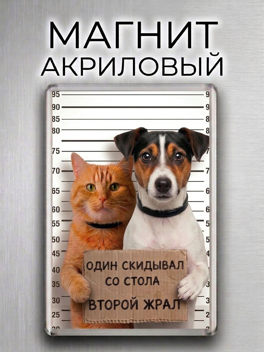 Магнит на холодильник прикольный "Кот и собака преступники" смешной подарок, любителю котов и собак