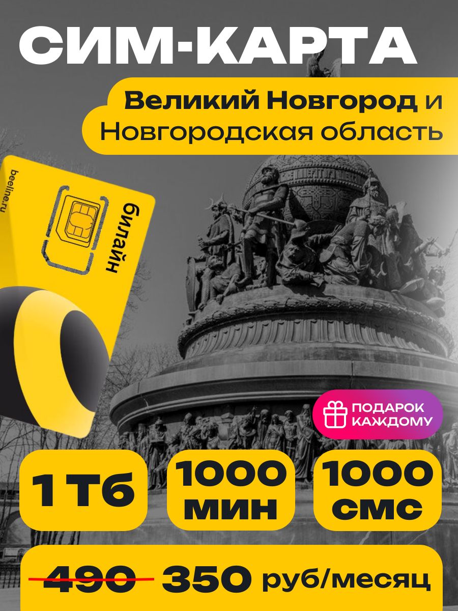 Сим-карта Билайн тариф Выгодный Новгородская область 1000 Гб и 1000 минут за 350 руб.