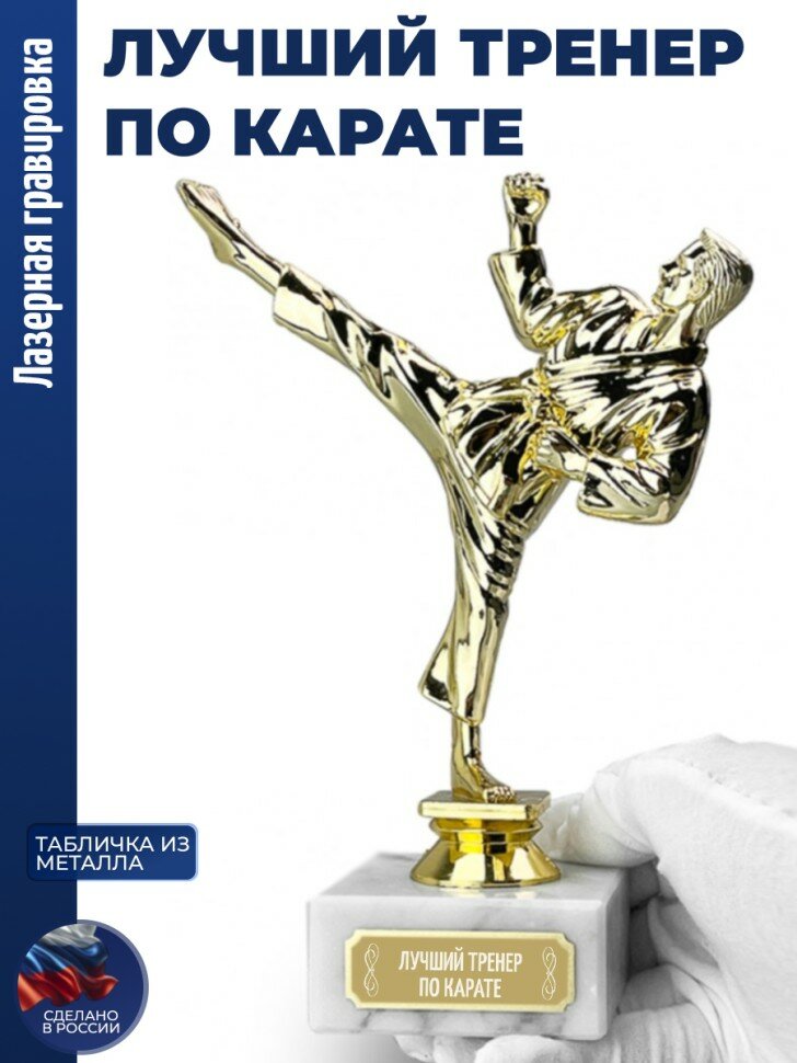Статуэтка Карате "Лучший тренер по карате" (19,5 см)