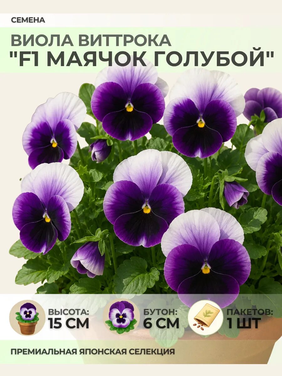 Виола "Маячок Голубой" F1, крупные тёмно-синие с мерцанием цветки, японский гибрид, 1 упаковка, 5 шт. семян.