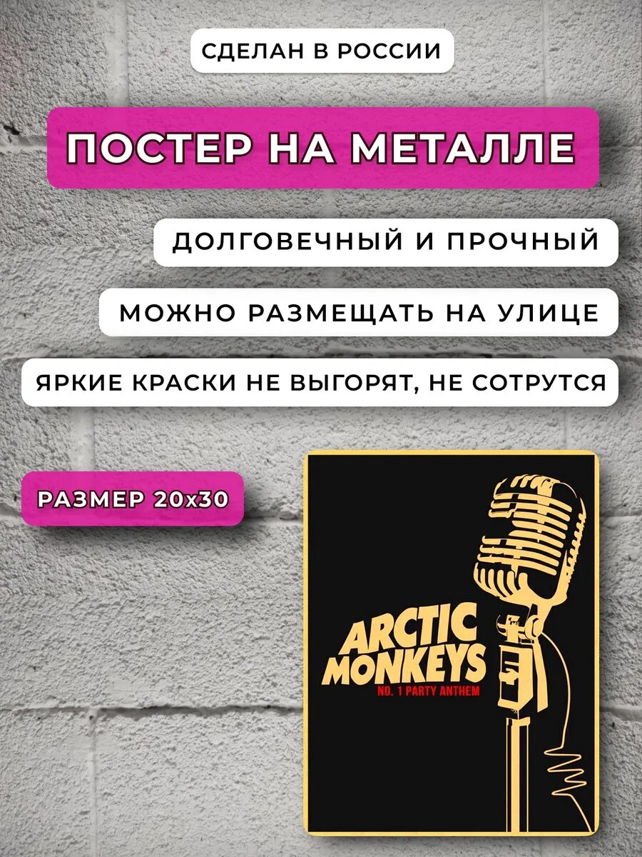 Арктик манкис постер — фото 1