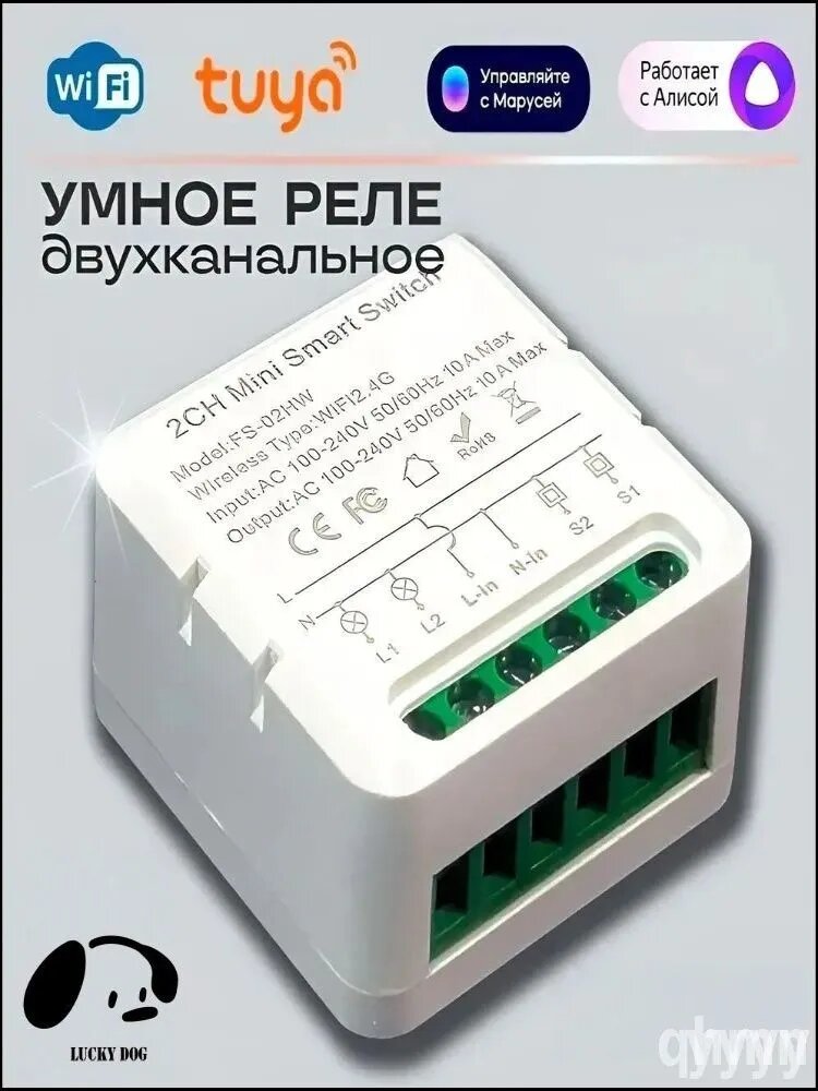 Умное двухканальное реле WiFi Tuya FS-02HW для управления бытовыми приборами, 10А, 240В